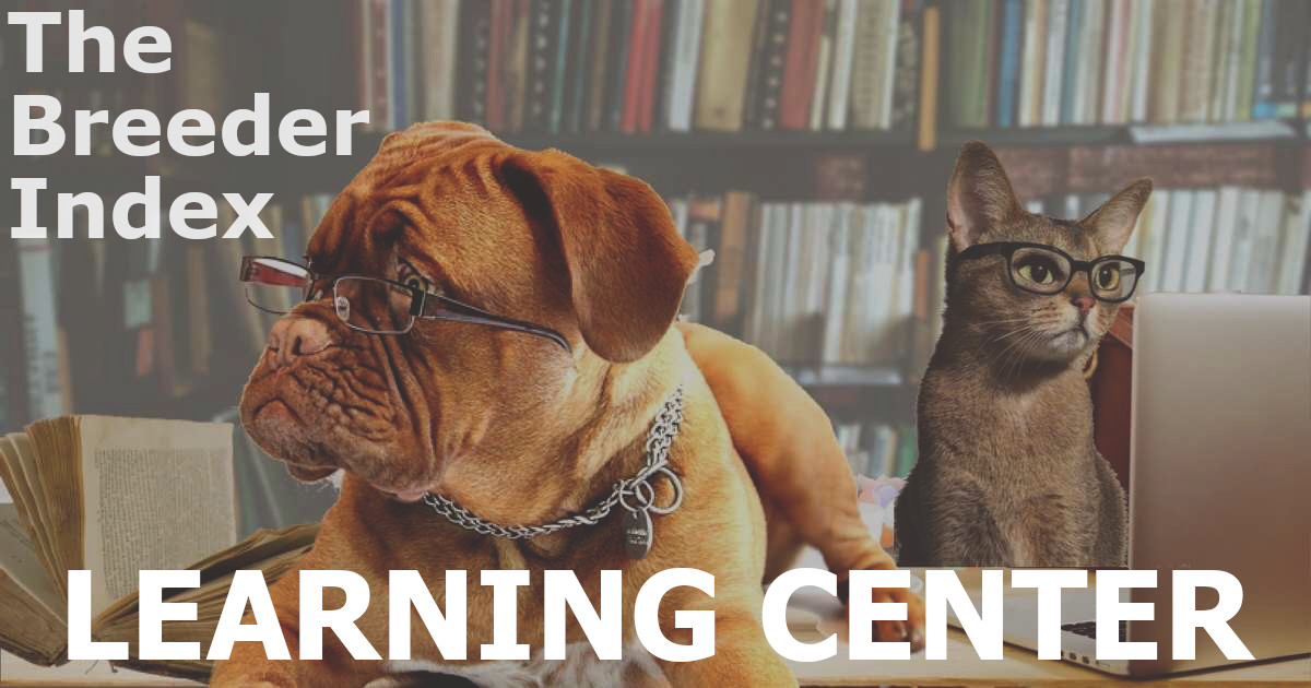 Comprehensive Guide to Dog and Cat Ownership and Care