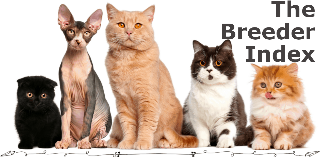 Top-Rated Cat Breeders: Discover Your Furry Best Friend
