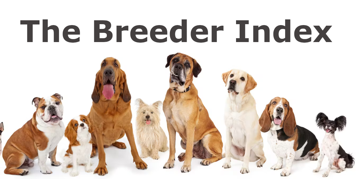 Discover Dog Breeds and Reputable Breeders | Your Guide